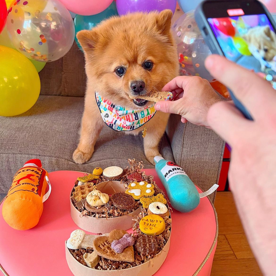 Happy Barkday Numbered Barkuterie Boards – The Social Dawg