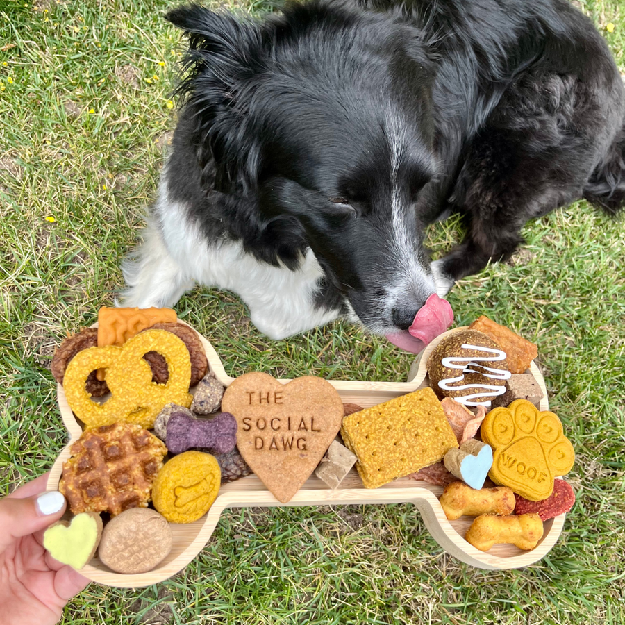 Cute Dog Bone Barkuterie Board | The Social Dawg