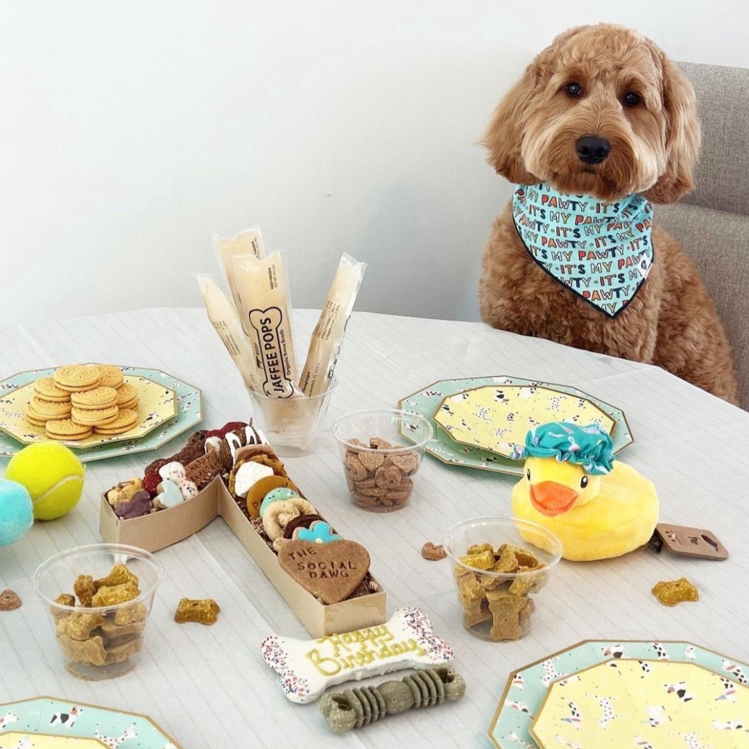 Happy Barkday Numbered Barkuterie Boards – The Social Dawg