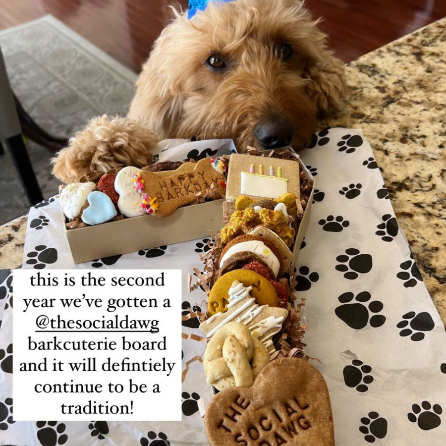 Happy Barkday Numbered Barkuterie Boards – The Social Dawg
