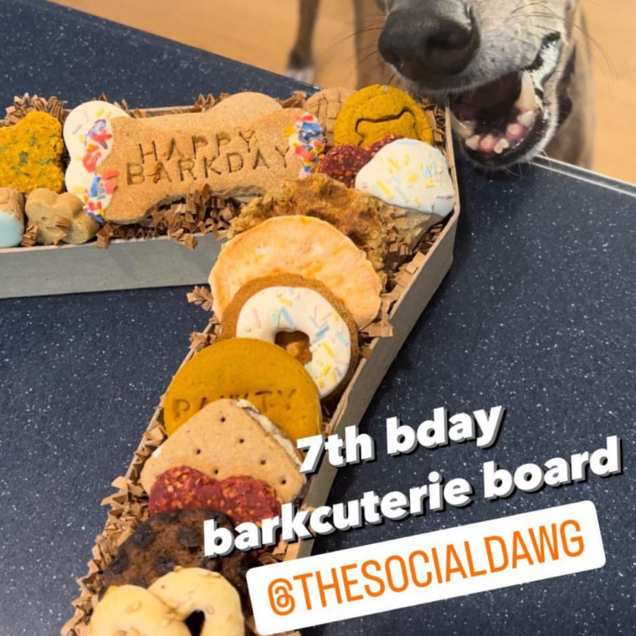 Happy Barkday Numbered Barkuterie Boards – The Social Dawg